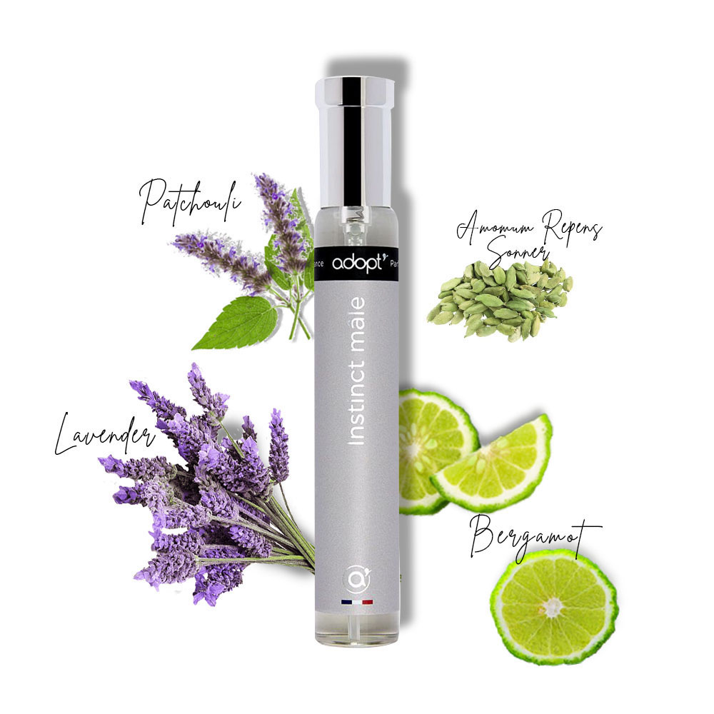 Nước Hoa Nam Instinct Male Adopt Hương Oải Hương